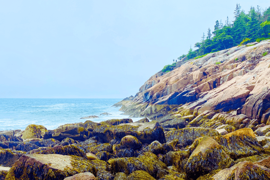 Bar Harbor Acadia National Park Travel Guide: Home To Maine's ...